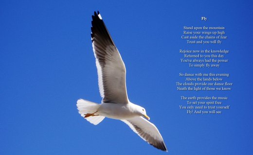 Flying Poetry Quotes 54 Travel Quotes That Will Inspire Your Next Trip