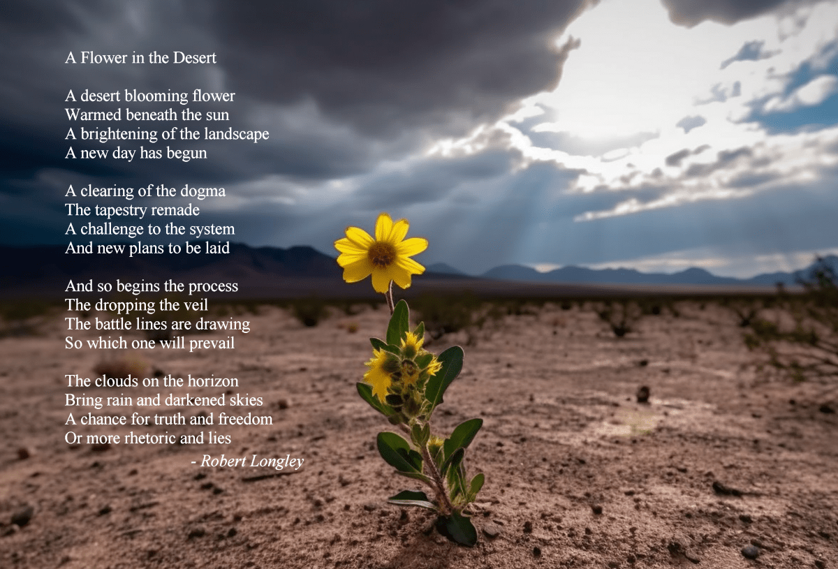 A Flower in the Desert - Inspirational Poems by Robert Longley
