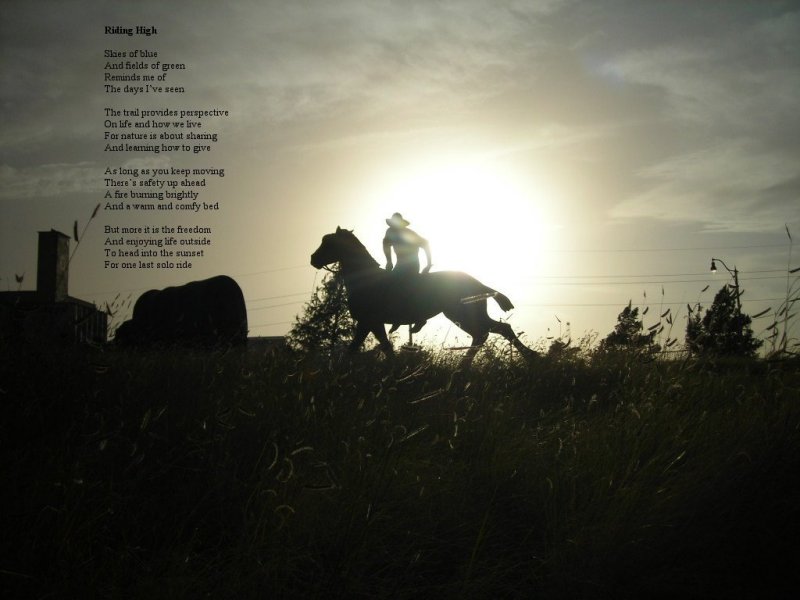 Horse Riding Poems