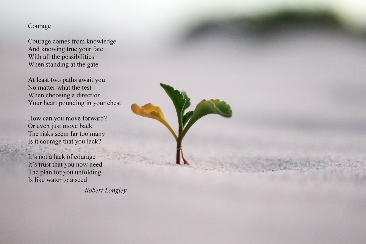 Courage - Sacred Poems - inspirational poetry books