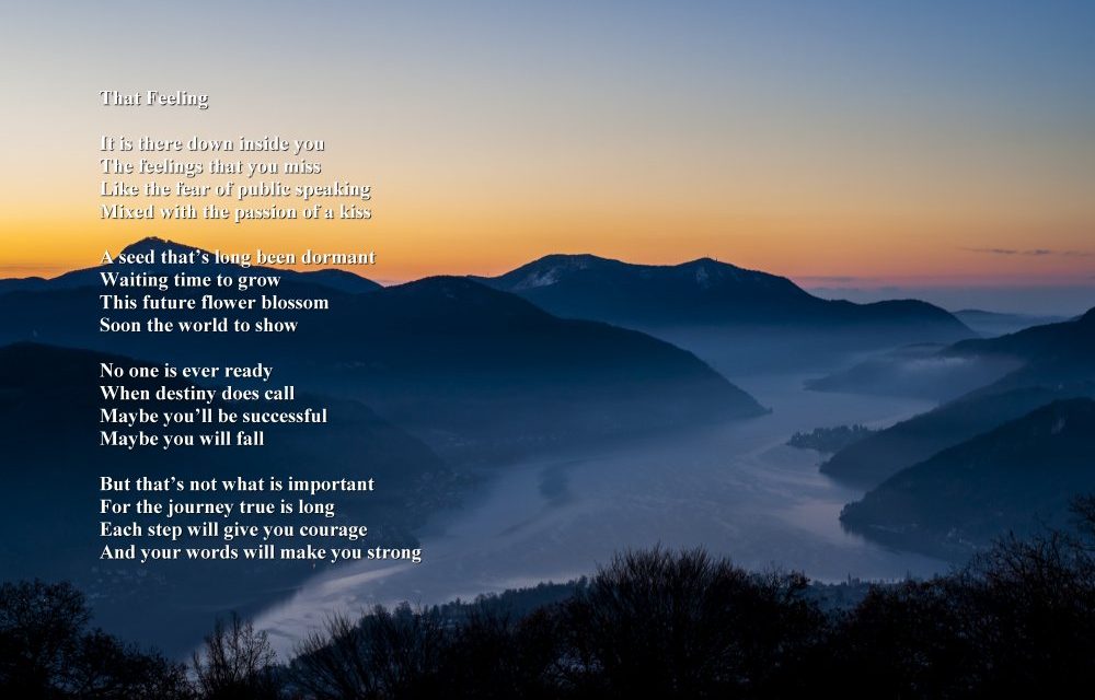 That Feeling - Sacred Poems - inspirational poetry books