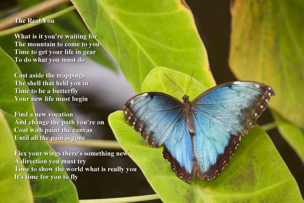 The Real You - Sacred Poems - inspirational poetry books
