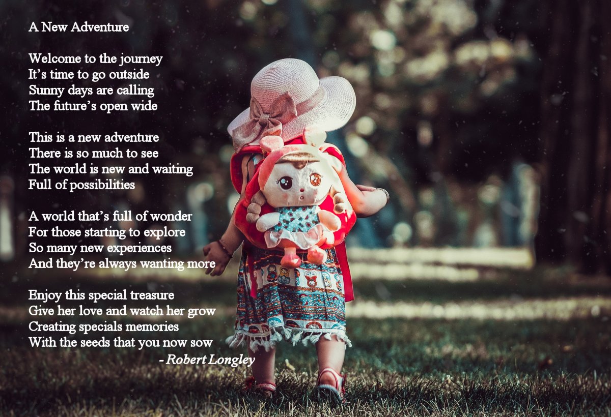 Adventure Poems Quotes Robert Frost Poem Quote Print, The Road Not