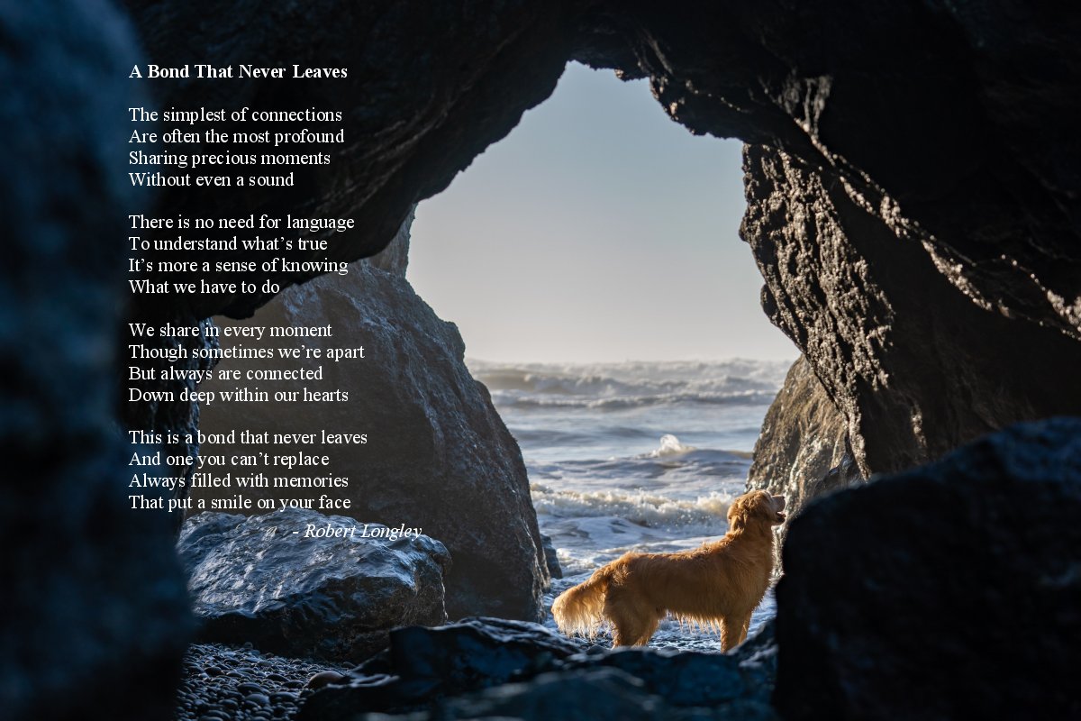 A Bond that never leaves - Sacred Poems - inspirational poetry books