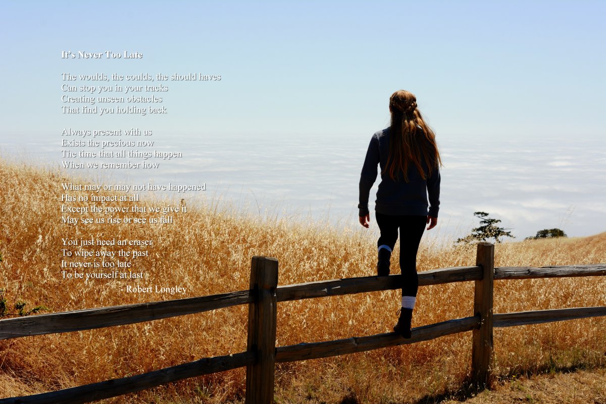 It's Never Too Late - Sacred Poems - books and art